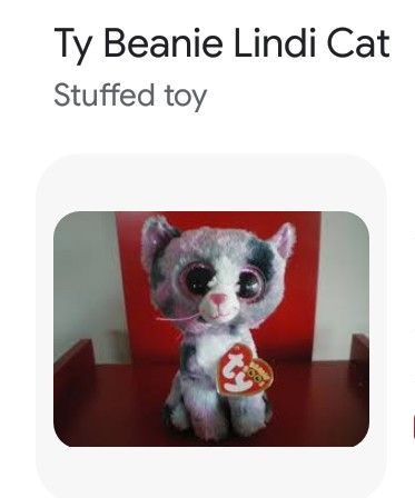 TY Beanie Boos Lindi Cat, Hobbies & Toys, Toys & Games on Carousell