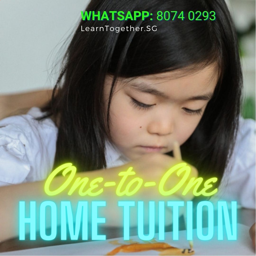 Affordable 1-To-1 Home Tuition Tutor for PSLE O/N/A Level English Math Science Chinese, Learning ...
