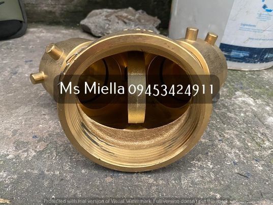 (FDC) FIRE DEP CONNECTION W/CAP CHAIN SIAMES TWIN (THREADED ...