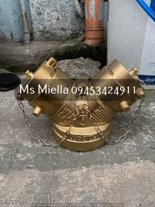 (FDC) FIRE DEP CONNECTION W/CAP CHAIN SIAMES TWIN (THREADED ...