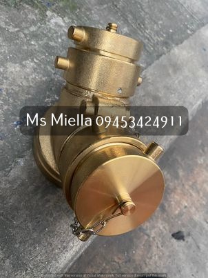 (FDC) FIRE DEP CONNECTION W/CAP CHAIN SIAMES TWIN (THREADED ...