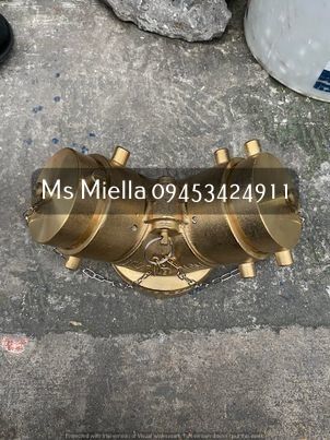 (FDC) FIRE DEP CONNECTION W/CAP CHAIN SIAMES TWIN (THREADED ...