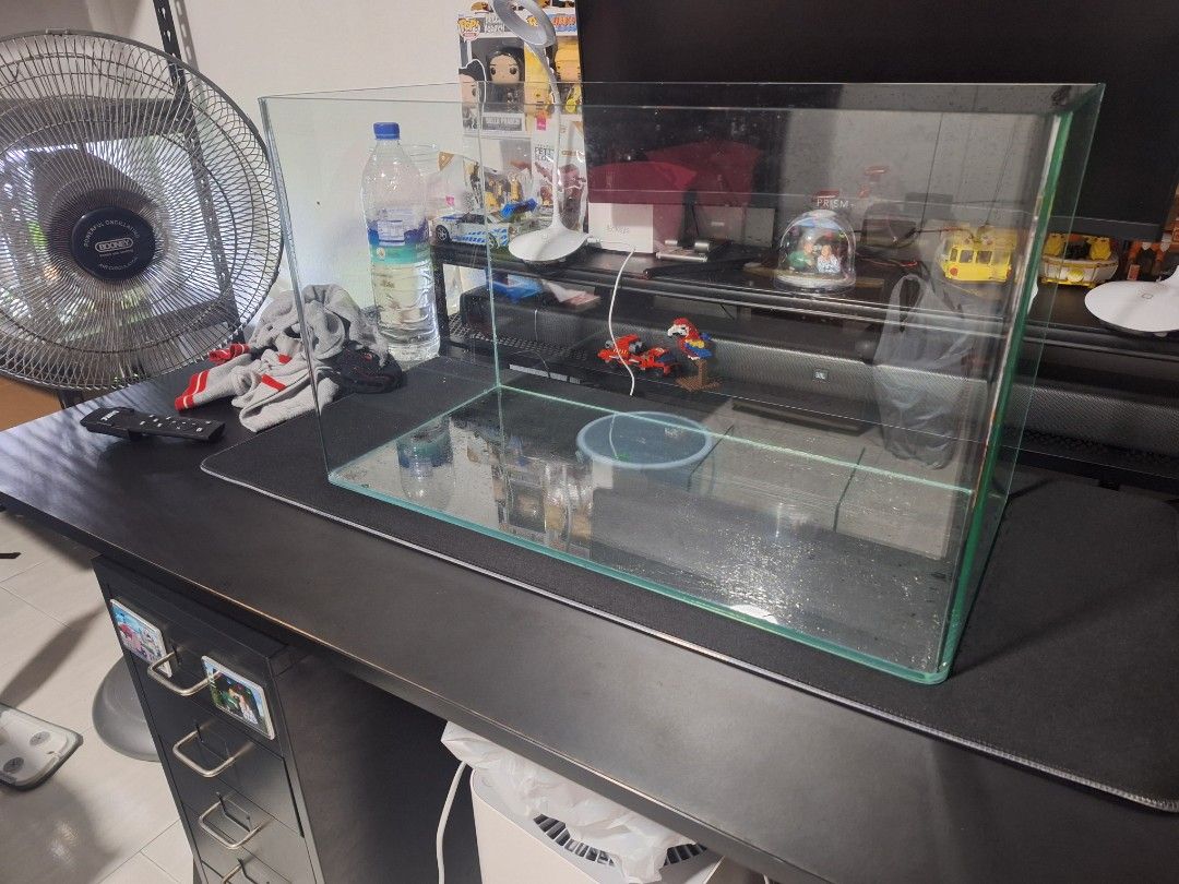 Fiah tank /aquarium, Pet Supplies, Homes & Other Pet Accessories on ...