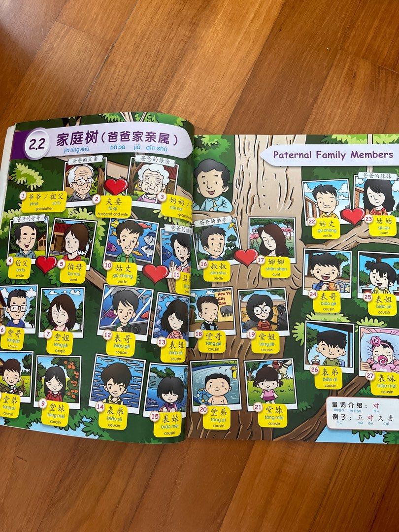 Fun Chinese picture dictionary, Hobbies & Toys, Books & Magazines ...