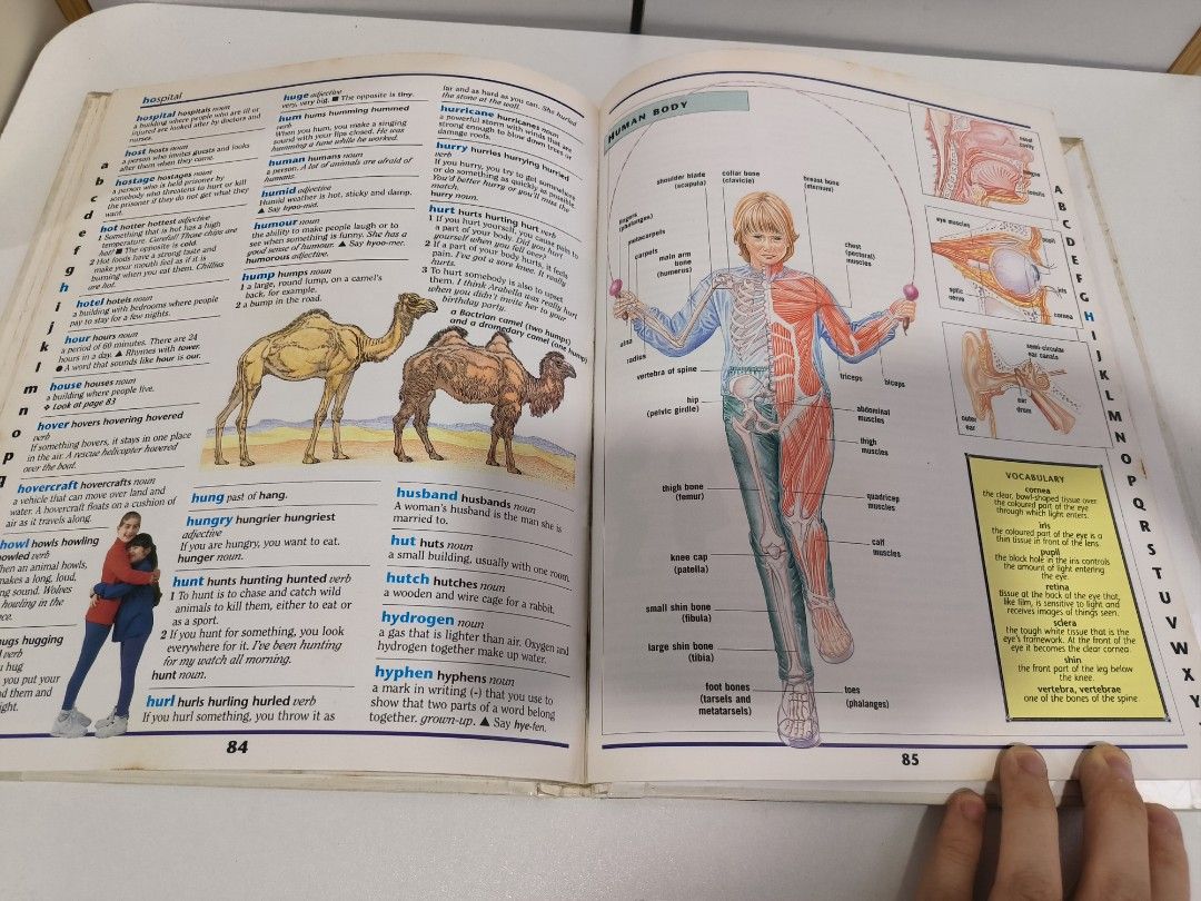 The Grolier children Dictionary, Hobbies & Toys, Books & Magazines ...