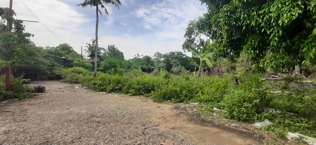 Industrial Lot for Sale in Cogon, Compostela, Cebu, Property, For Sale ...