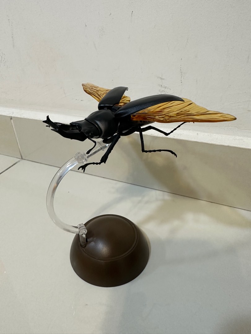 Insects Bandai Kuwagata Stag Bettle!!!, Hobbies & Toys, Toys & Games on ...