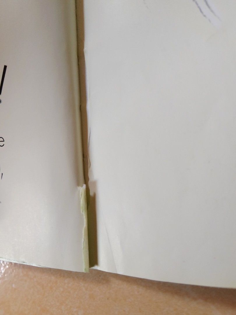 Lettice the flying rabbit, Buku & Alat Tulis, Buku Anak-Anak di Carousell