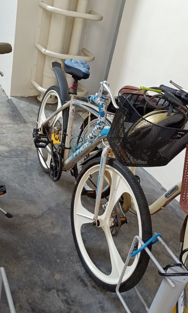 Phoenix road bike, Sports Equipment, Bicycles & Parts, Bicycles on ...
