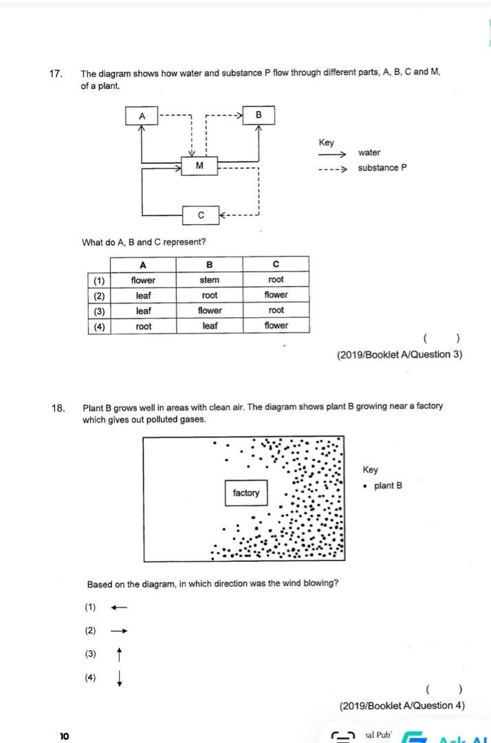 PSLE SCIENCE PAST YEAR PAPER 2018-2020 TOPICAL, Hobbies & Toys, Books ...