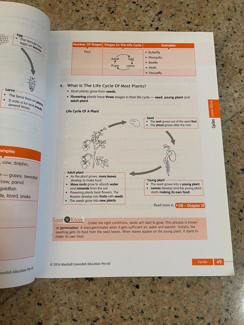 Science Psle revision guide p6, Hobbies & Toys, Books & Magazines ...