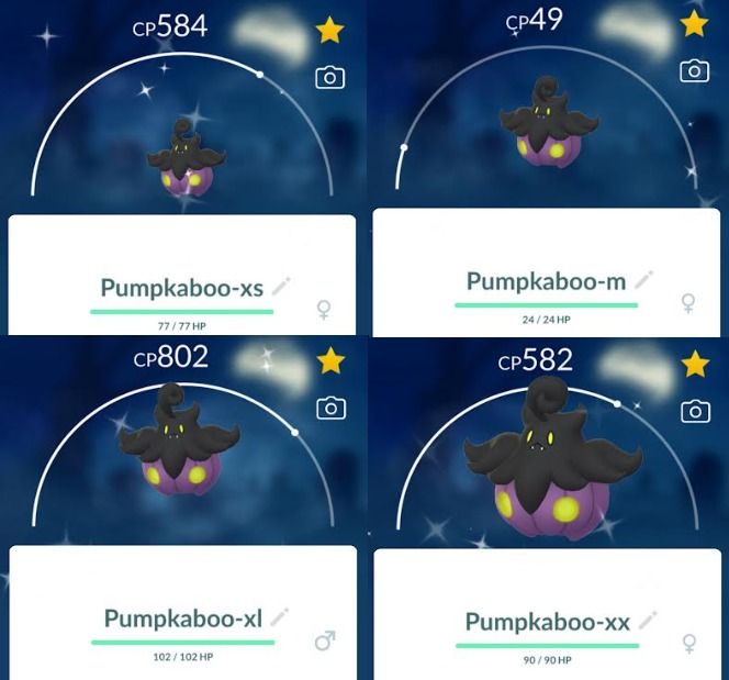 SHINY PUMPKABOO Pokemon Go ALL SIZES, Video Gaming, Video Games, Others on Carousell