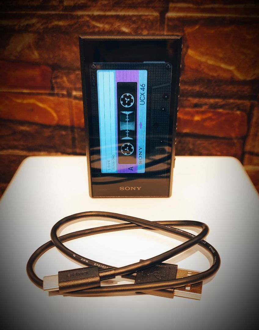 Sony NW-A306 Walkman High Resolution Digital Audio Player (FOC Demo ...