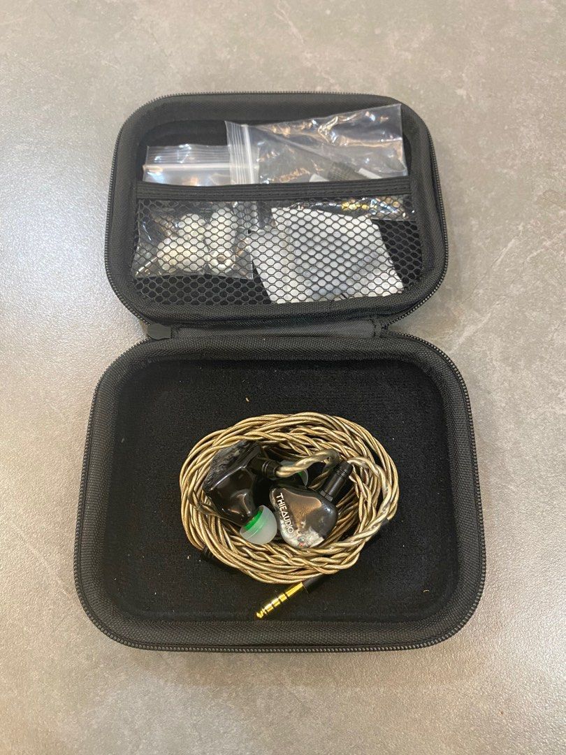 ThieAudio Semi-Hard IEM carrying case, Audio, Portable Audio ...