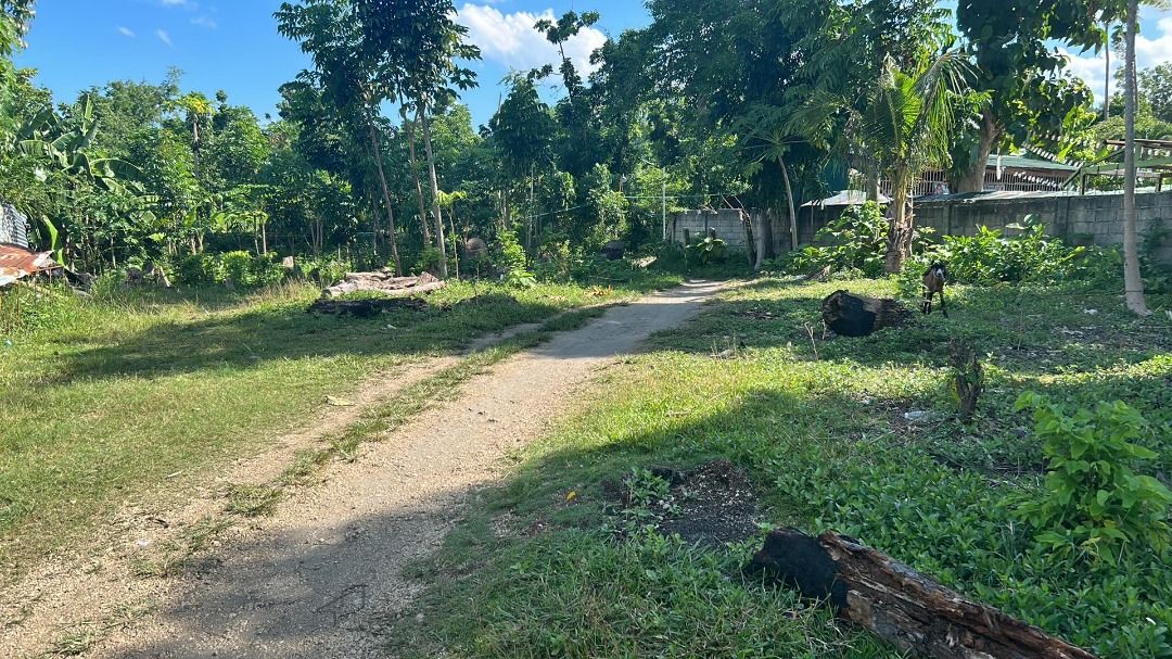 ARGAO CEBU LOT FOR SALE, Property, For Sale, Lot on Carousell