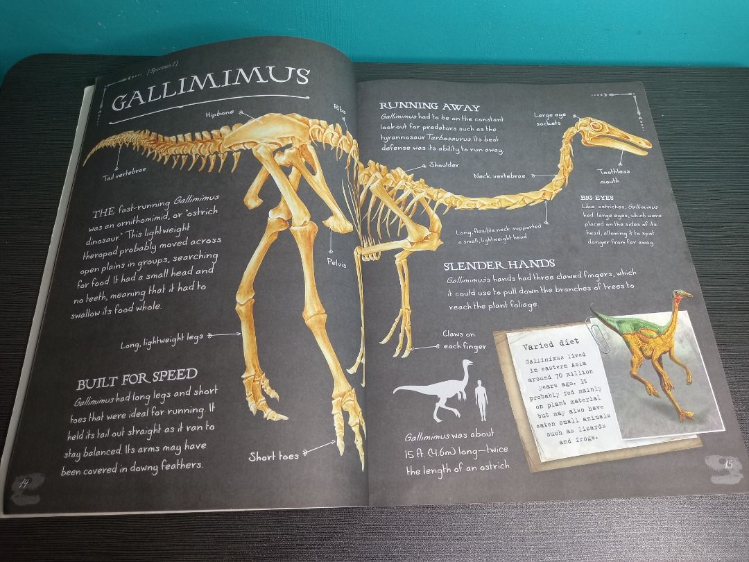 Bone Collection Dinosaurs And Other Prehistoric Animals Book, Hobbies ...