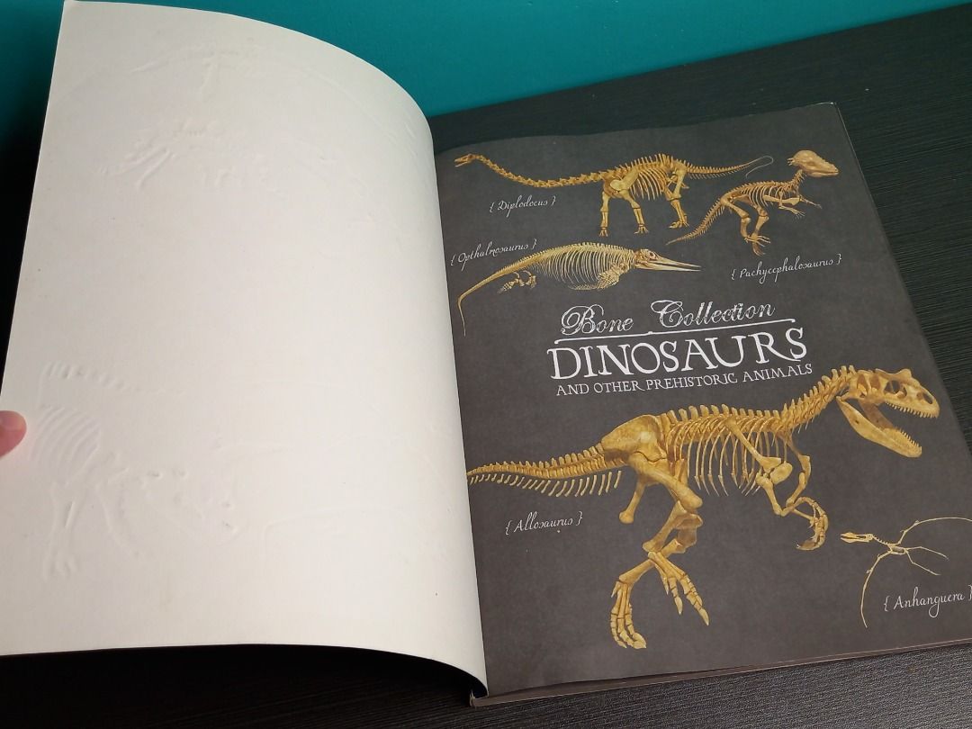 Bone Collection Dinosaurs And Other Prehistoric Animals Book, Hobbies ...