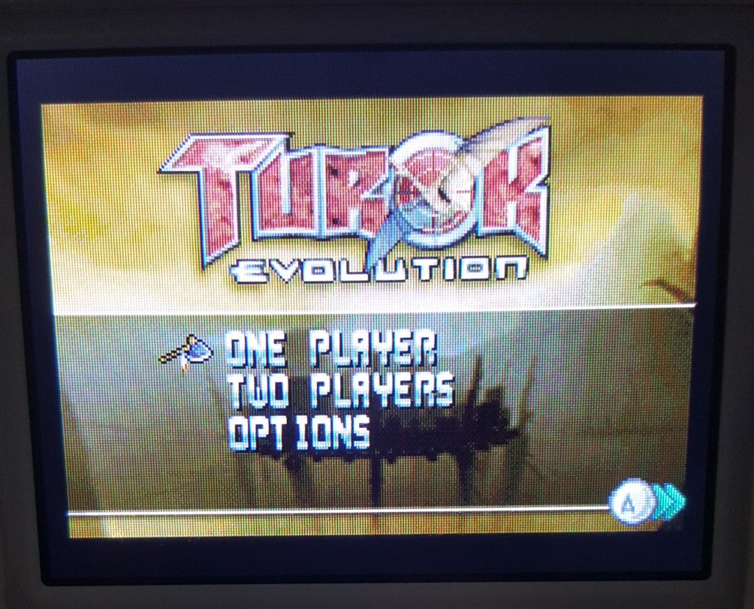 GBA Turok Evolution with 1 free case, Video Gaming, Video Games ...
