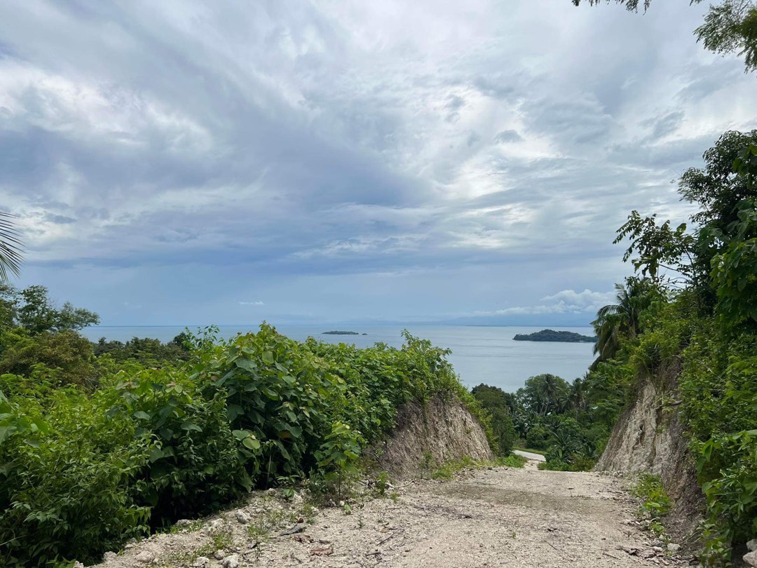 Overlooking Lot,Facing Sunrise located at Samal Island, Property, For ...