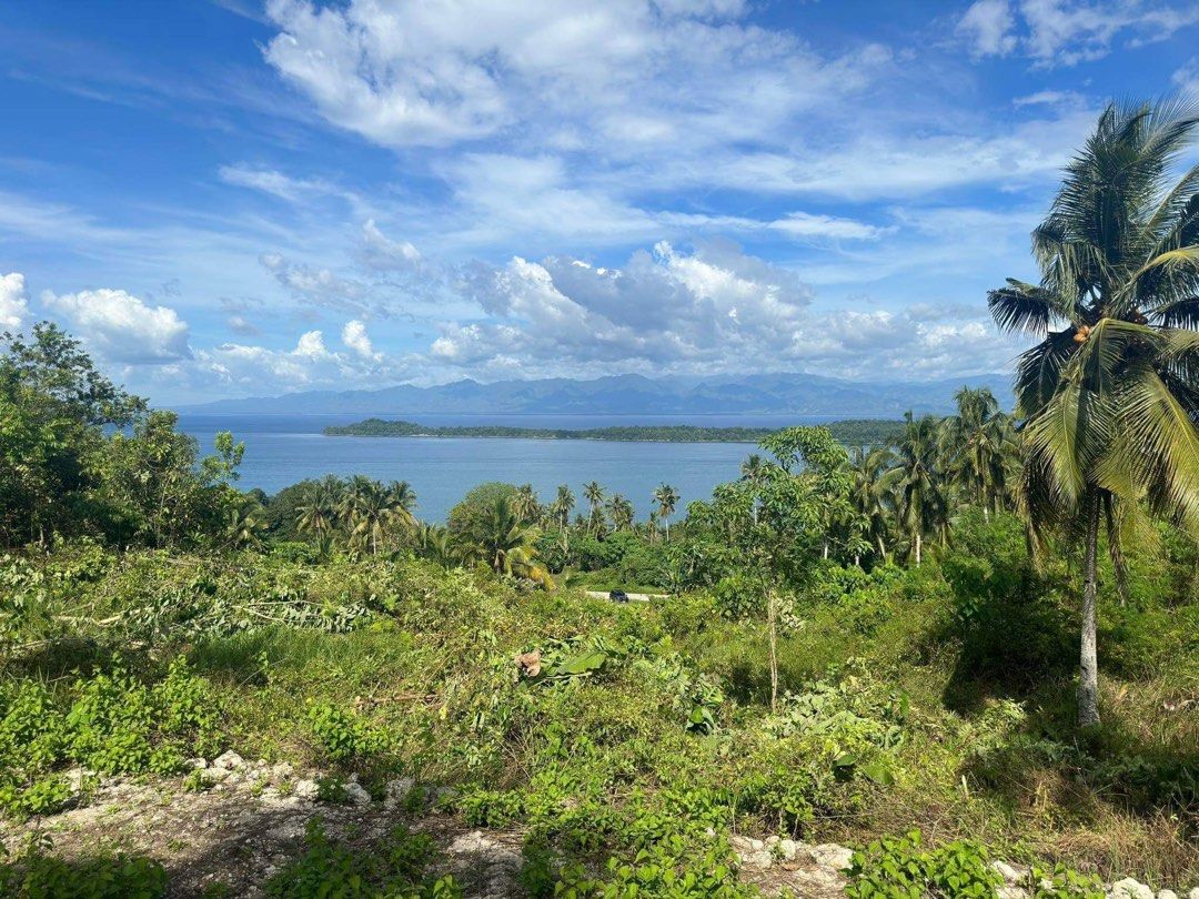 Overlooking Lot,Facing Sunrise located at Samal Island, Property, For ...