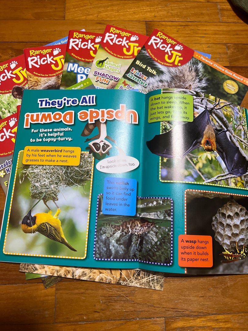 Ranger Rick junior (nurture craft), Hobbies & Toys, Books & Magazines ...