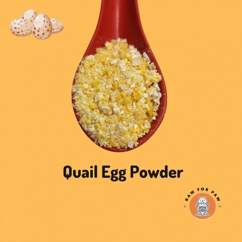 Raw for Paw Fresh Quail Egg Powder | Freeze-Dried Raw Toppers For Dogs ...