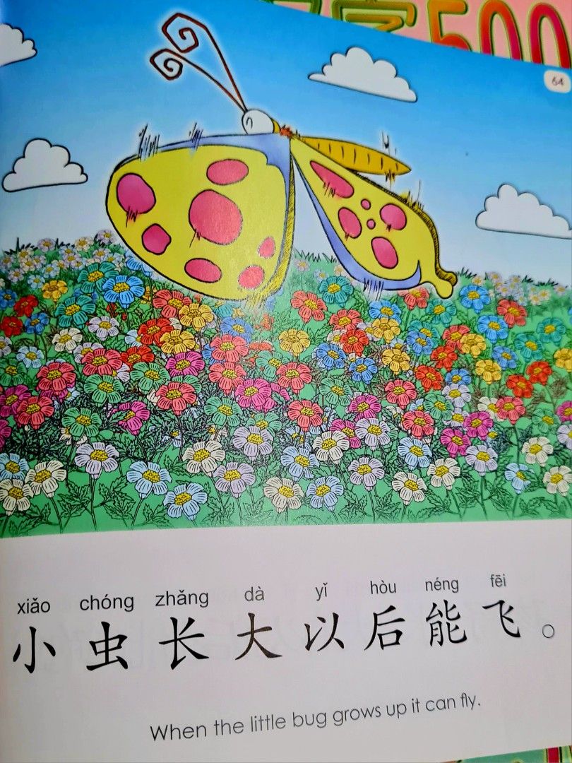 Sage Formula Basic Chinese 500, Hobbies & Toys, Books & Magazines ...