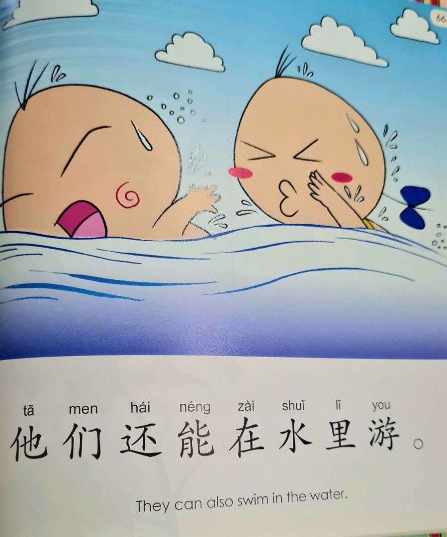 Sage Formula Basic Chinese 500, Hobbies & Toys, Books & Magazines ...