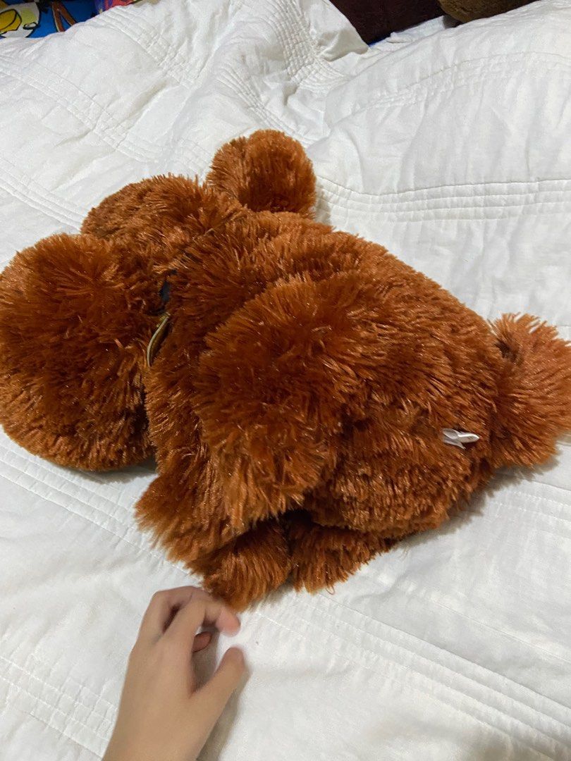 Secret Life of Pets Duke big plush, Babies & Kids, Infant Playtime on ...