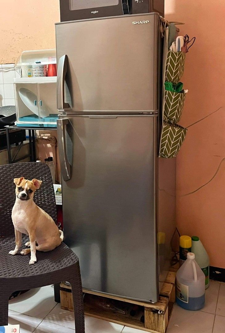 Shaep 2 Door Refrigerator sj-ul70as-sl, TV & Home Appliances, Kitchen ...