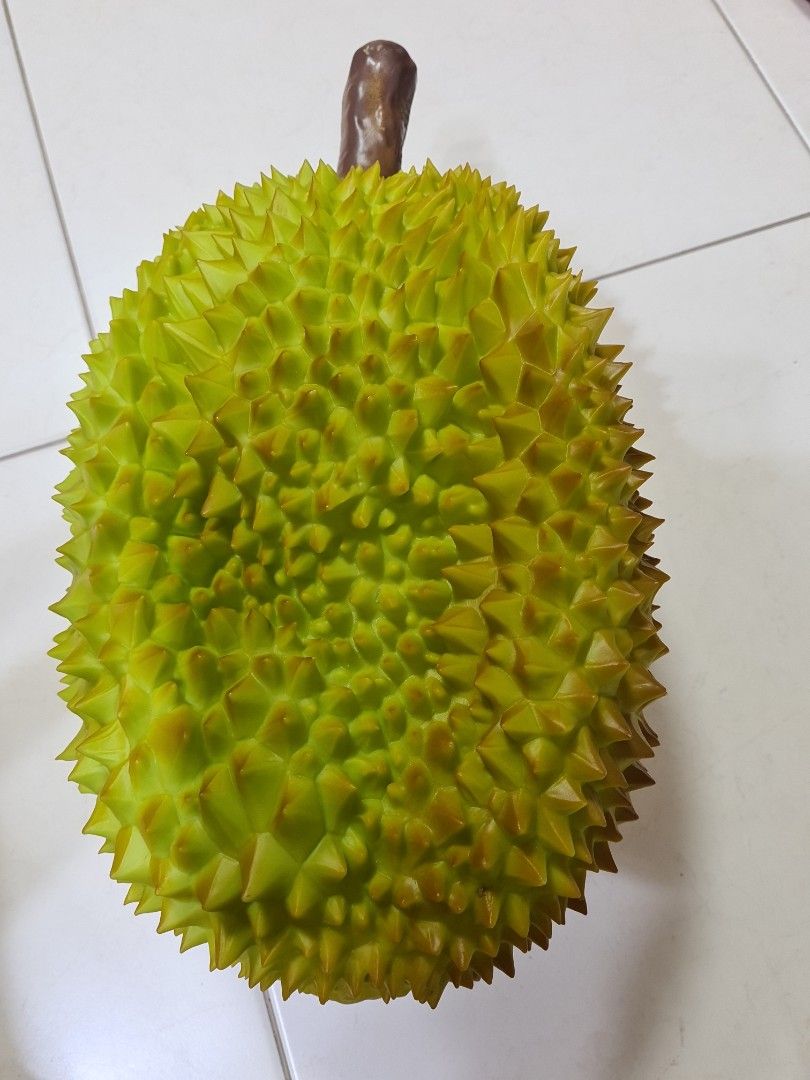 2 x Storage case (Durian design) Free Delivery, Everything Else on ...