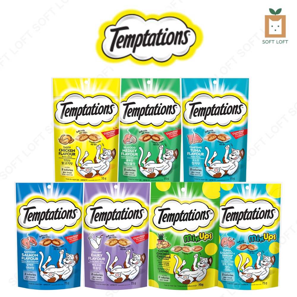 TEMPTATIONS Cat Treat Pocket Snack 75g, Cat Biscuits Cat Dry Snack Cat ...