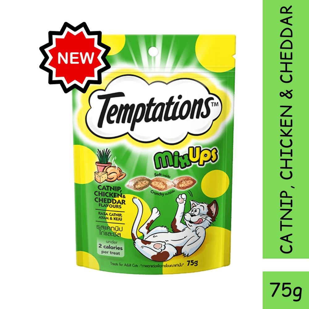 TEMPTATIONS Cat Treat Pocket Snack 75g, Cat Biscuits Cat Dry Snack Cat ...