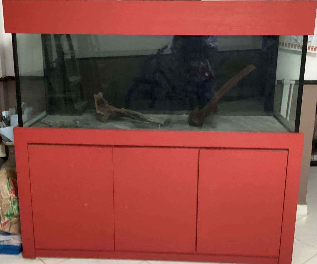 5ft Fish Tank, Pet Supplies, Homes & Other Pet Accessories on Carousell