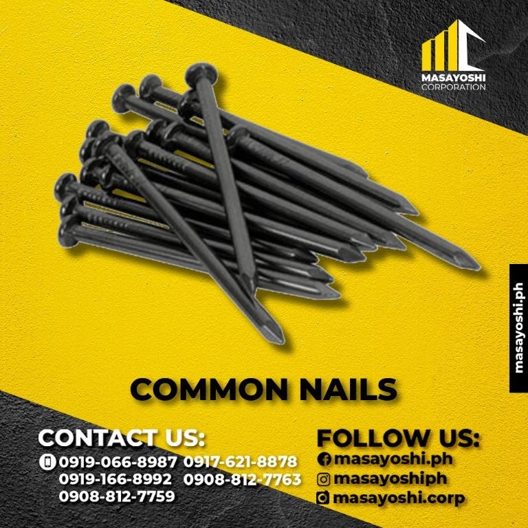 Common Nails | Nails | Construction Nails | Pako | Steel Nails ...