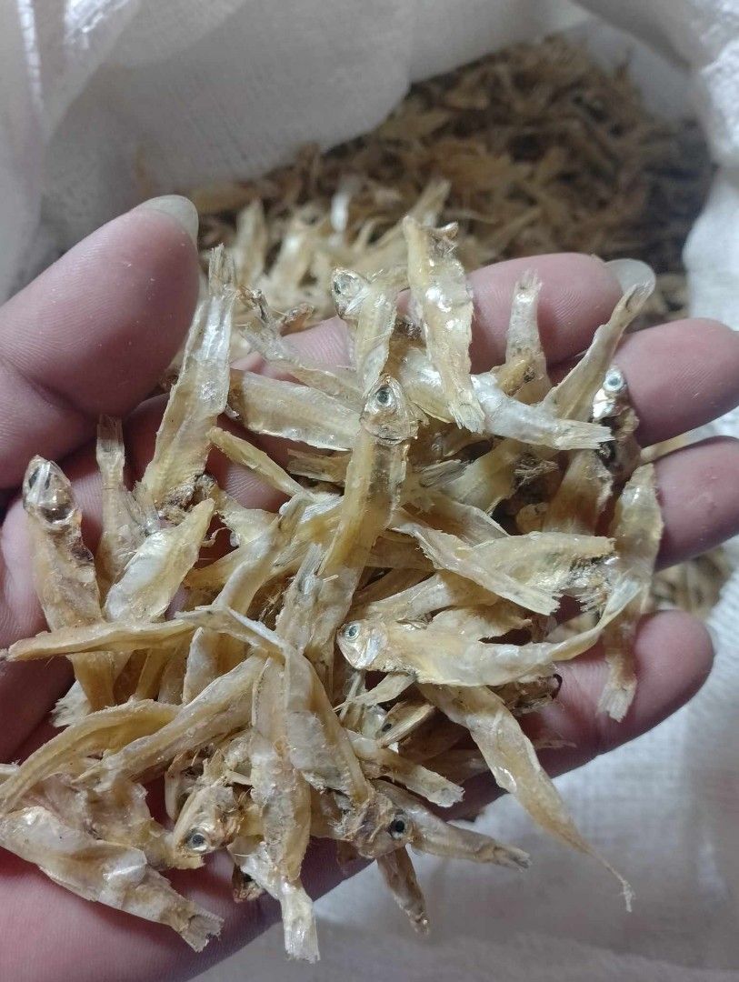 Dried pusit fish dilis, Food & Drinks, Local Eats on Carousell