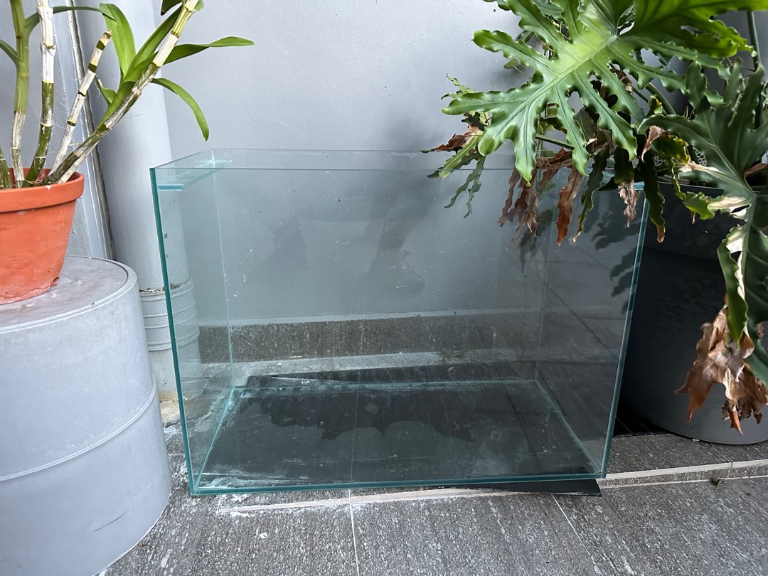 Fish tank 2ft 60cm, Pet Supplies, Homes & Other Pet Accessories on ...