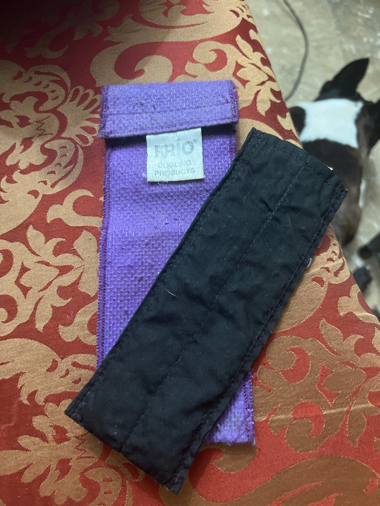 Frio insulin pouch Duo, Health & Nutrition, Medical Supplies & Tools on ...