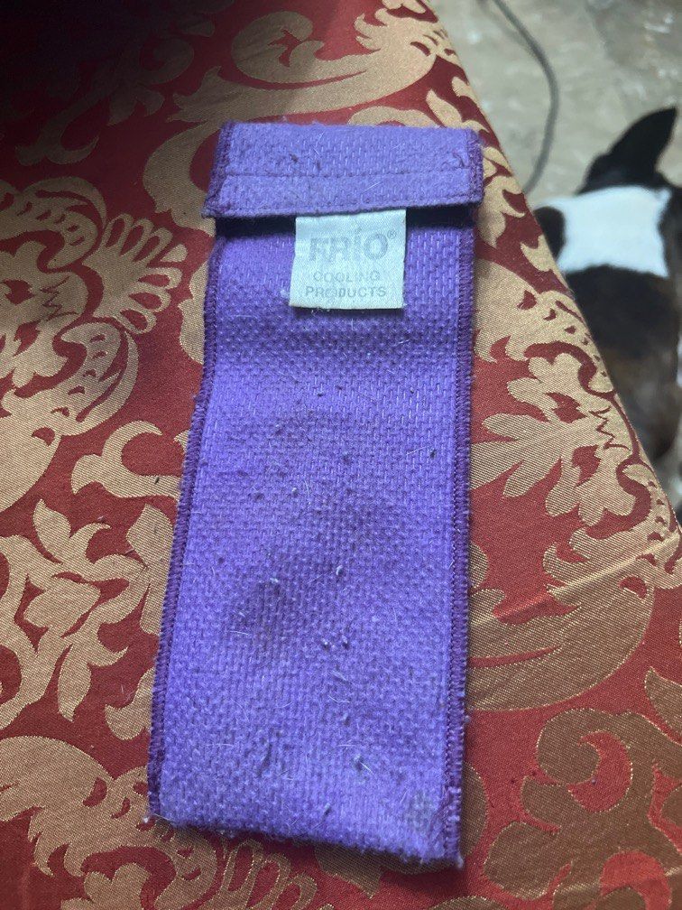 Frio insulin pouch Duo, Health & Nutrition, Medical Supplies & Tools on ...