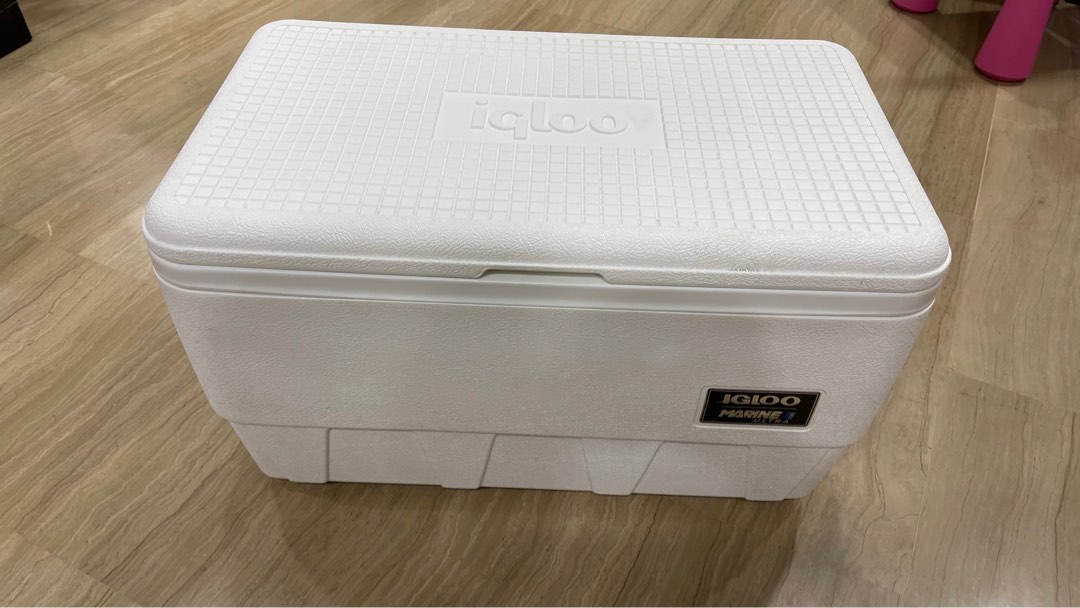 Igloo Marine Ultra 36 QT cooler box, Furniture & Home Living, Home ...