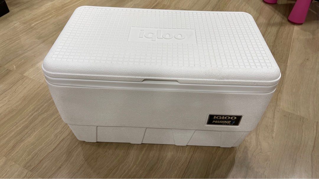 Igloo Marine Ultra 36 QT cooler box, Furniture & Home Living, Home ...