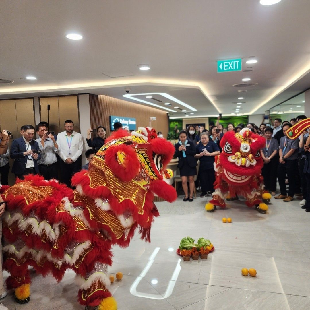 Lion dance for any event..., Hobbies & Toys, Stationery & Craft ...