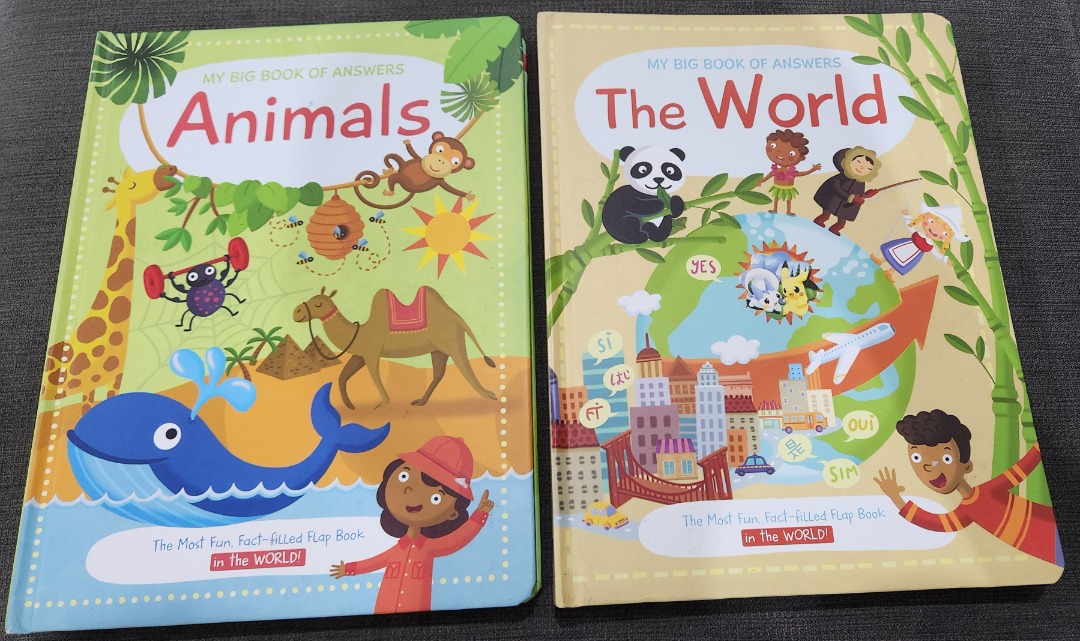 My Big Book of Answers - Animals, and the World Flap Board Books Set ...