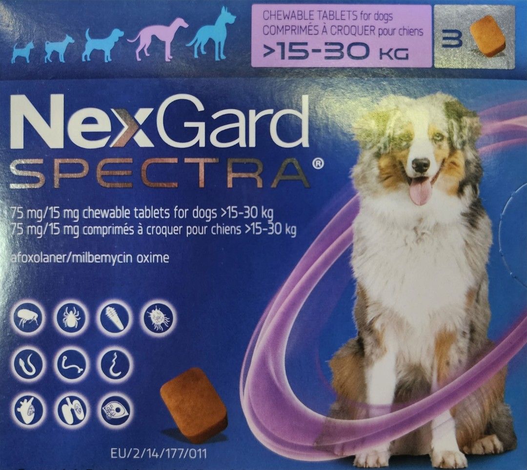 Nexgard Spectra dog Supplement, Pet Supplies, Health & Grooming on ...