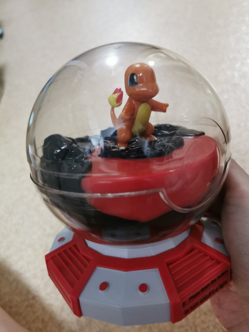 Pokemon Charmander illuminated terrarium with light, Hobbies & Toys ...