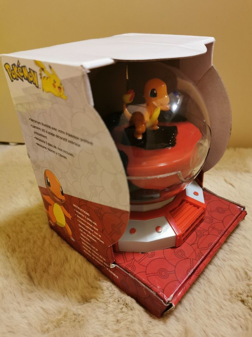 Pokemon Charmander illuminated terrarium with light, Hobbies & Toys ...