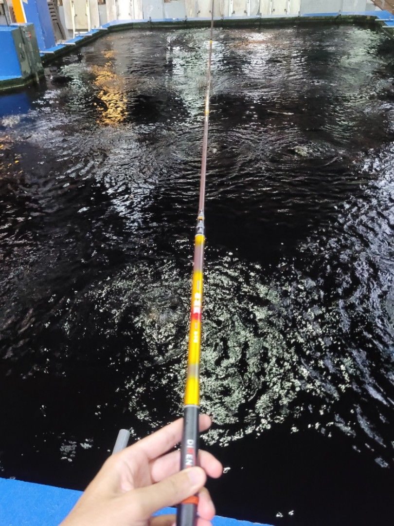 Prawning rod / prawn rod, Sports Equipment, Fishing on Carousell