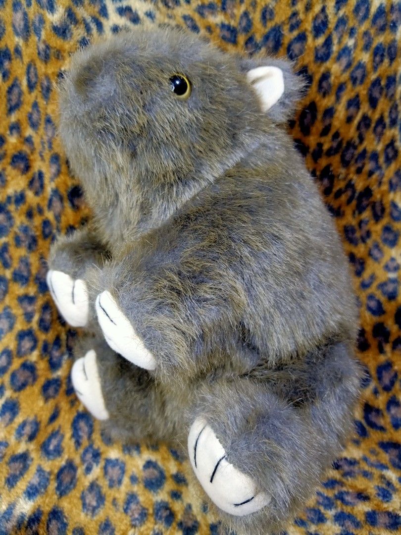 REALISTIC BIG SIZE WOMBAT CAPYBARA PLUSH TOY, Hobbies & Toys, Toys ...