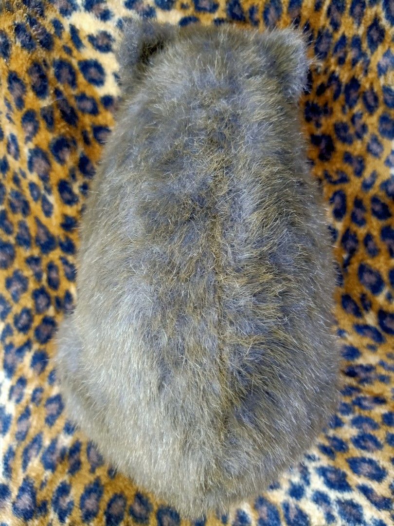 REALISTIC BIG SIZE WOMBAT CAPYBARA PLUSH TOY, Hobbies & Toys, Toys ...