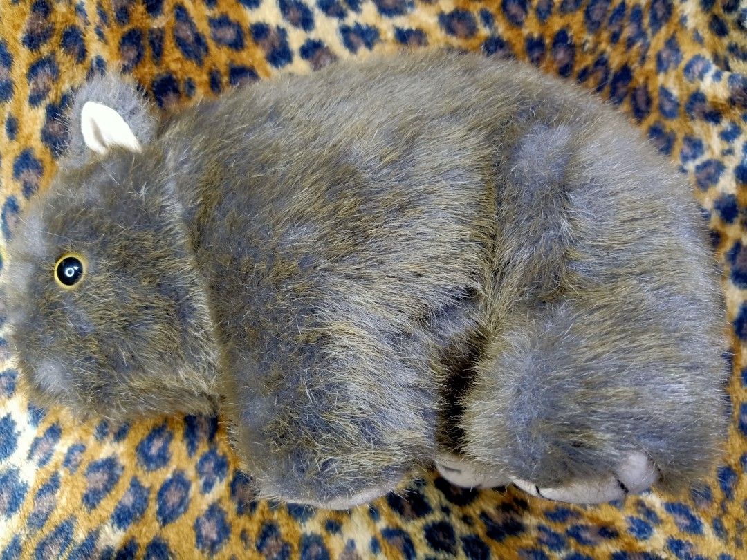 REALISTIC BIG SIZE WOMBAT CAPYBARA PLUSH TOY, Hobbies & Toys, Toys ...